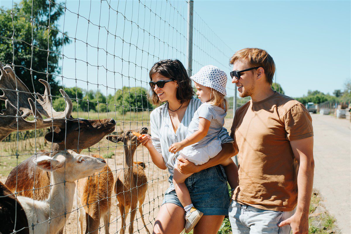 Procédures pour obtention d'une licence de zoo spécialisé dans les ...